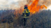 Does House Insurance Cover Forest Fires? - Nerdynaut